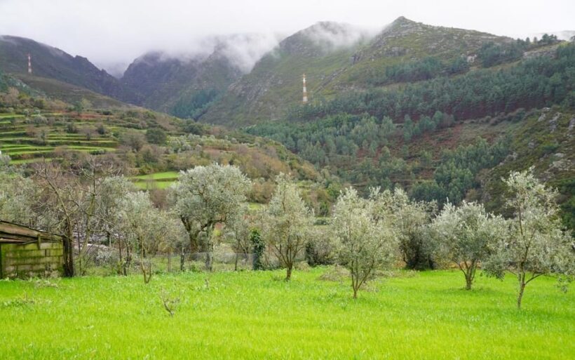ALVÃO SHEPHERD'S HIKE - The Overall Value