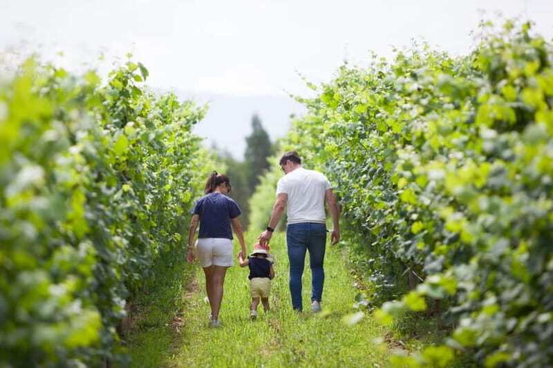 Alvarinho com Alma - Key Points