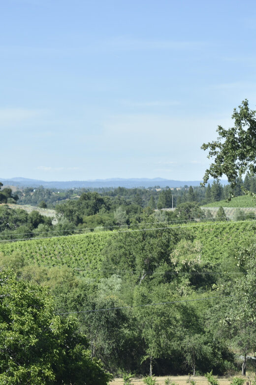Amador County Wine Tasting Tour Private Tour 1 To 14 Group - FAQ