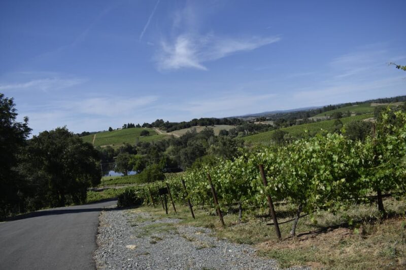 Amador County Wine Tasting Tour Private Tour 1 To 14 Group - The Value of This Tour