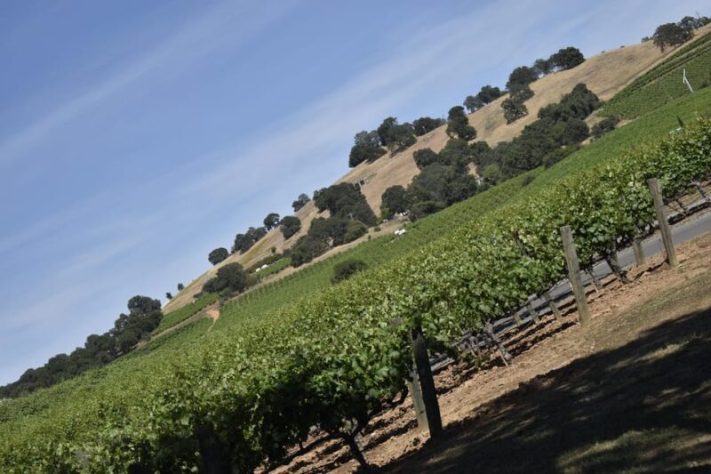Amador County Wine Tasting Tour Private Tour 1 To 14 Group - What Reviewers Say