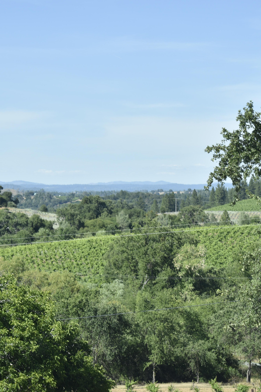Amador County Wine Tasting Tour Private Tour 1 To 14 Group - FAQ