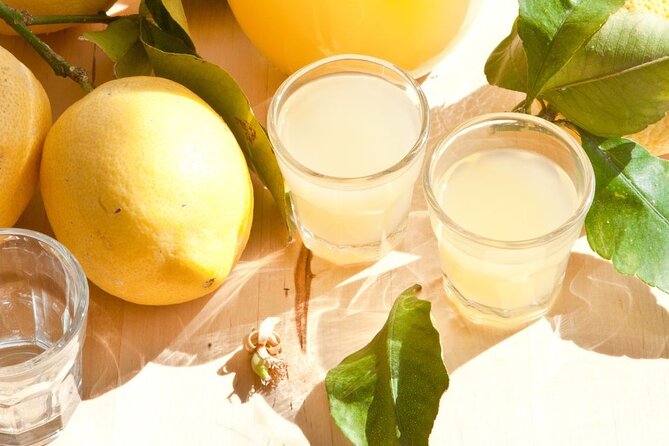 Amalfi Coast Day Trip From Rome by High-Speed Train - Accessibility and Additional Information