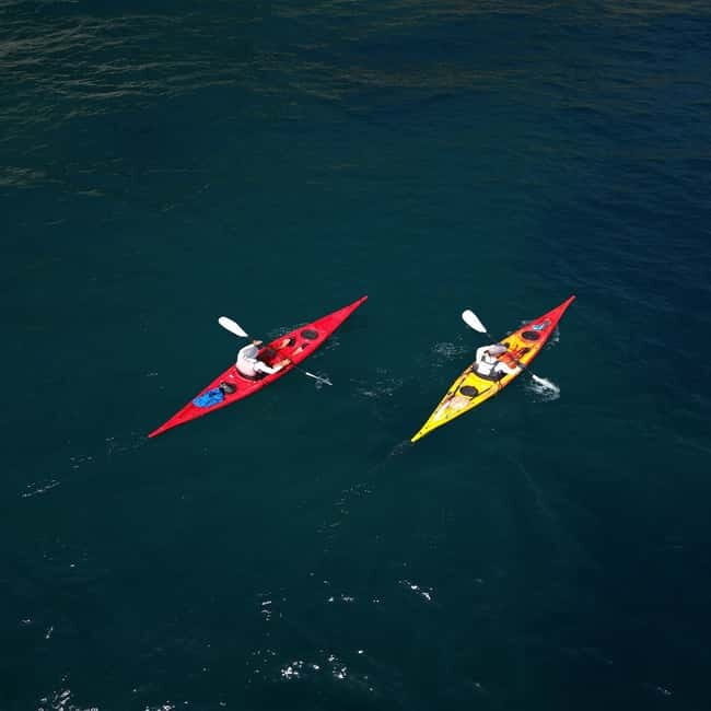 Amalfi Coast: Kayak & Snorkeling tour, sea caves and beach - Why This Tour Offers Strong Value