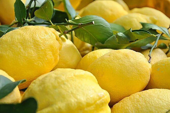 Amalfi Coast - Maiori: Path of Lemons Tour With Tasting - Tour Participation and Accessibility