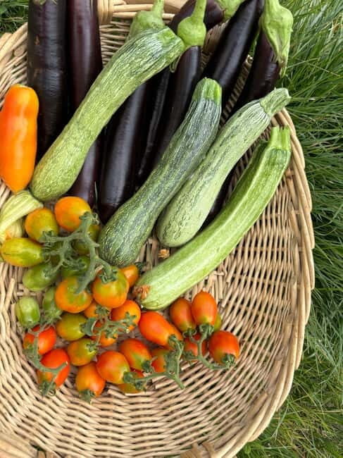 Amalfi Coast: Mozzarella, Pasta and Tiramisù Cooking Class - Who Will Love This Tour