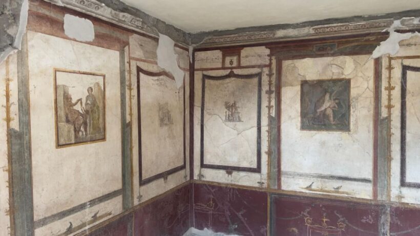 Amalfi Coast: Pompeii Ruins Guided Tour - The Value Proposition: Who Should Book?