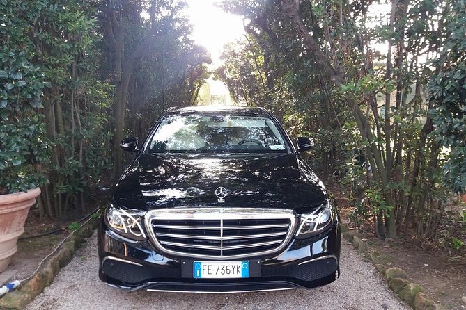 Amalfi Coast Shore Excursions pompeii with tour guide - Transportation and Logistics