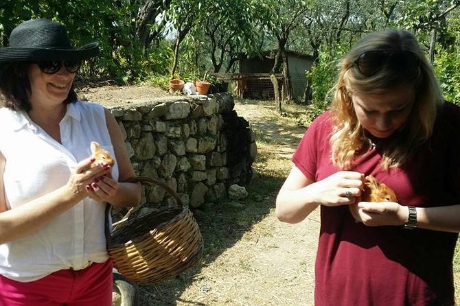 Amalfi Coast & Sorrento Cooking Class School at Farmhouse - Frequently Asked Questions