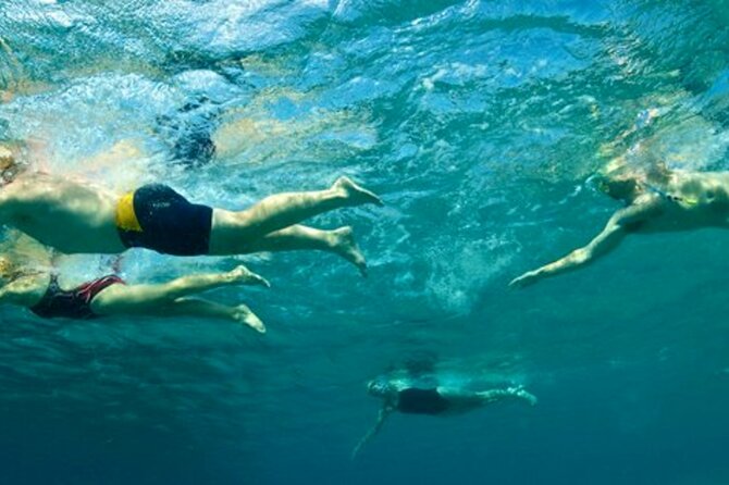 Amalfi Coast Swim Experience with Lifeguard - Authenticity and Authentic Experience