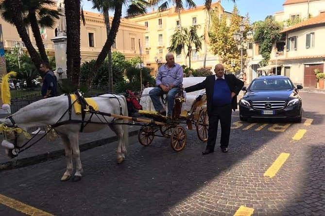 Amalfi Coast Tour Review: A Splendid Experience - Transportation and Logistics