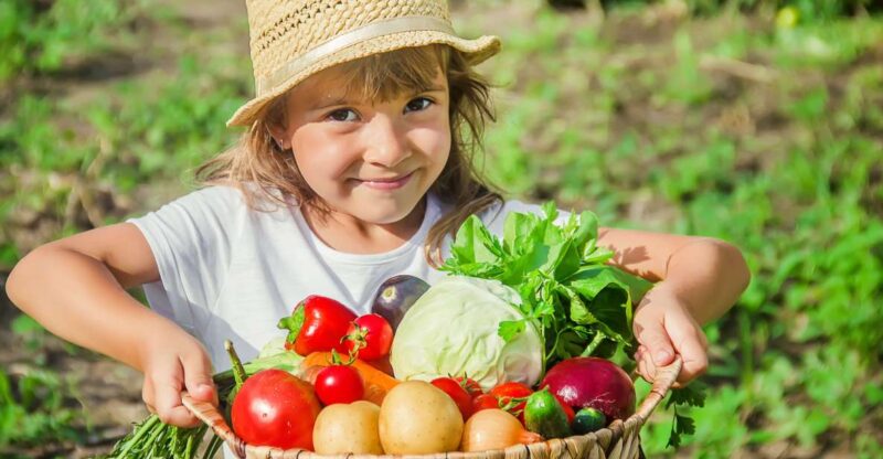 Amalfi: Cooking Class and Farmhouse Visit With Meal - Final Recommendations