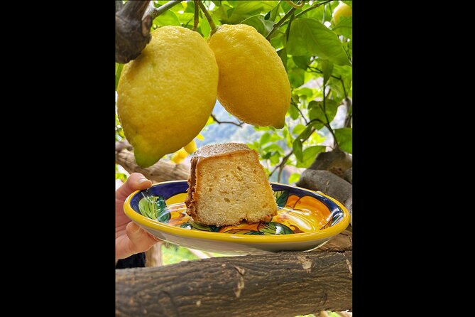 Amalfi Lemon Tour & Tasting in the Historical Garden - Insights Into Organic Farming Practices