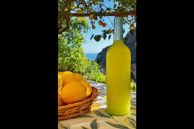 Amalfi Lemon Tour & Tasting in the Historical Garden - Scenic Views of the Amalfi Coast