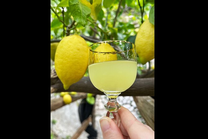 Amalfi Lemon Tour & Tasting in the Historical Garden - Recommendations for a Unique Experience