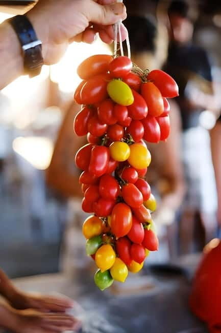 Amalfi: Milk the cows, Make Pasta, Mozzarella and Tiramisù! - The Sum Up