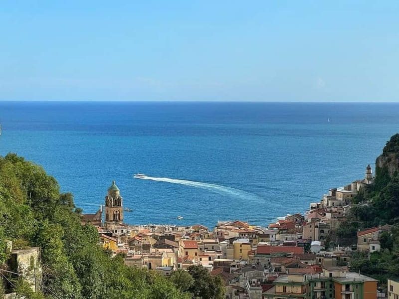 Amalfi Organic Lemon Tour & Wine Tasting + Dinner or Lunch - Key Points