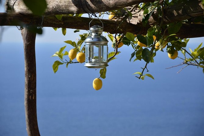 Amalfi Ravello Positano Tour - Key Points