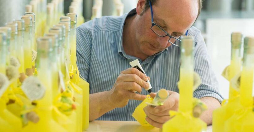 Amalfi: Vertical Lemon Farm Tour, Tastings, and Rural Museum - Key Points