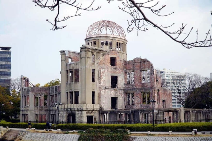 Amami Oshima Island Sightseeing - Exploring Amami Oshima: A Closer Look at the Tour