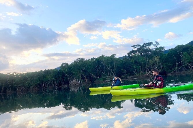 Amami Oshima Mangrove Kayaking, Waterfall and Cape Walking Tour - Exploring the Mangrove Forests by Kayak