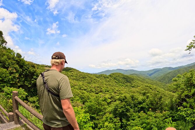 Amami Oshima Mangrove Kayaking, Waterfall and Cape Walking Tour - Trekking Along the Rugged Cape Coastline