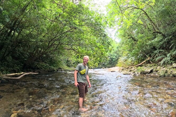 Amami Oshima Mangrove Kayaking, Waterfall and Cape Walking Tour - Transportation and Pickup Arrangements
