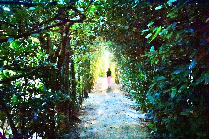 Amami Oshima Mangrove Kayaking, Waterfall and Cape Walking Tour - Booking and Cancellation Policies