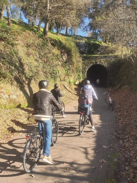 Amarante: e-Bike Tour and Vinho Verde - from Porto - What We Love and What to Consider