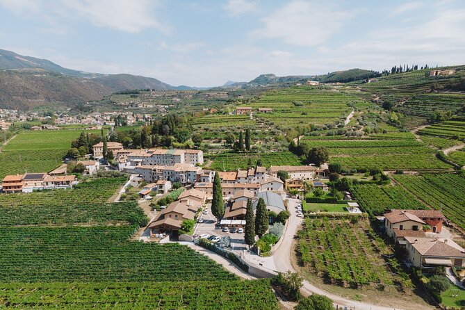 Amarone 2005 Wine Experience - FAQ