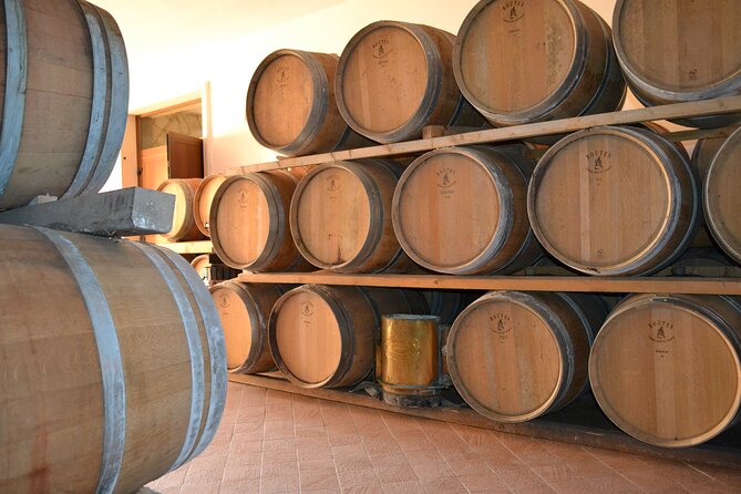 Amarone Della Valpolicella Wine Experience - Meet the Vogadori Family - Exploring the Valpolicella Wine Region