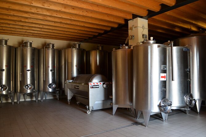 Amarone Della Valpolicella Wine Experience - Meet the Vogadori Family - Indulging in the Amarone Tasting Experience