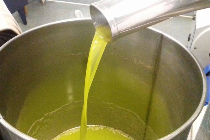 Amarone Della Valpolicella Wine Experience - Meet the Vogadori Family - Discovering the Allure of Grappa and Olive Oil