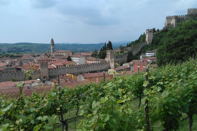 Amarone-Soave Wine Tour. Visit Verona. From Venice - Logistics and Accessibility