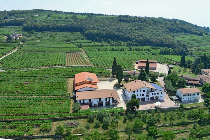 Amarone-Valpolicella Wine Tour - Visit Verona. From Venice - Pricing and Cancellation Policy