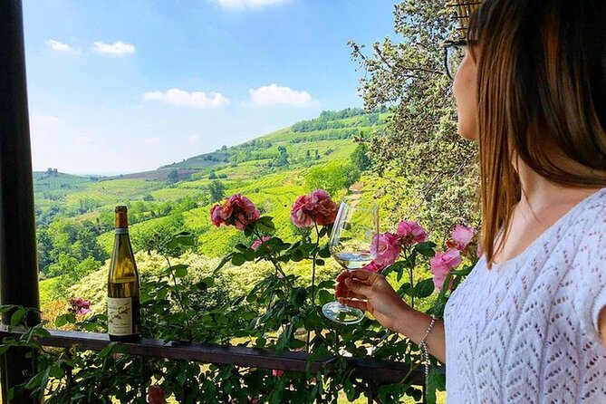 Amarone-Valpolicella Wine Tour - Visit Verona. From Venice - Verona Walking Tour