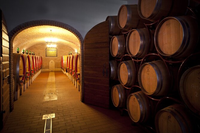 Amarone-Valpolicella Wine Tour - Visit Verona. From Venice - Valpolicella Winery Visits