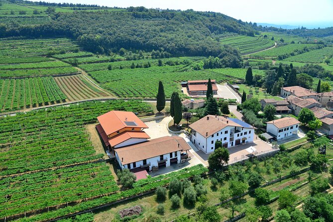 Amarone Wine Tasting from Verona - Analyzing the Value