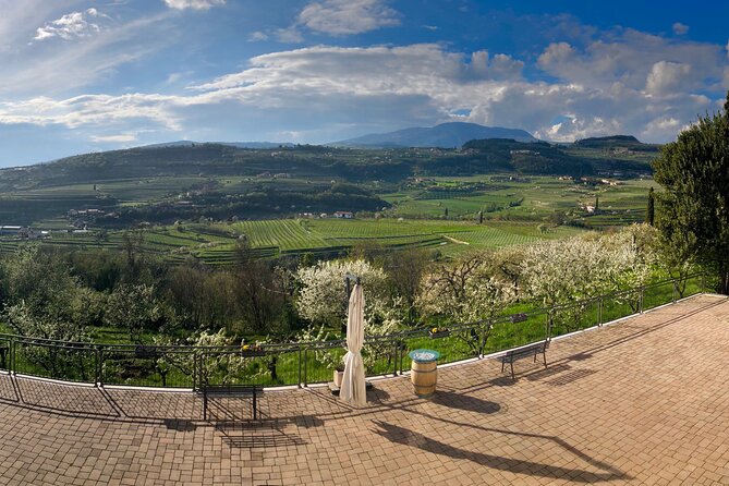 Amarone Wine Tasting from Verona - Why This Tour Works Well for Certain Travelers