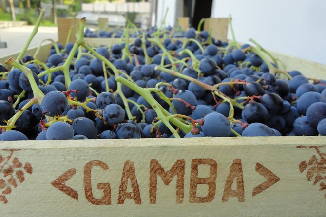 Amarone Wine Tasting from Verona - FAQ