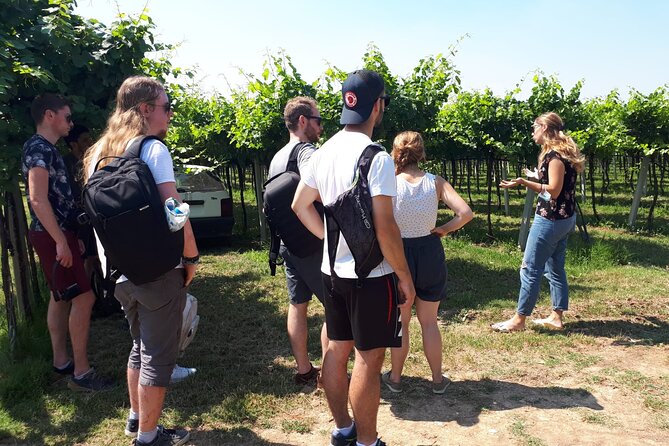 Amarone Wine Tour - Practical Information and Logistics