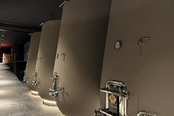 Amarone Wine Tour with 2 Wineries Lunch and Private Transfer - Key Points