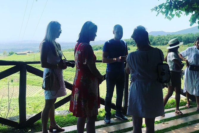 Amarone Wine Tour with 2 Wineries Lunch and Private Transfer - Practical Tips for Making the Most of the Tour