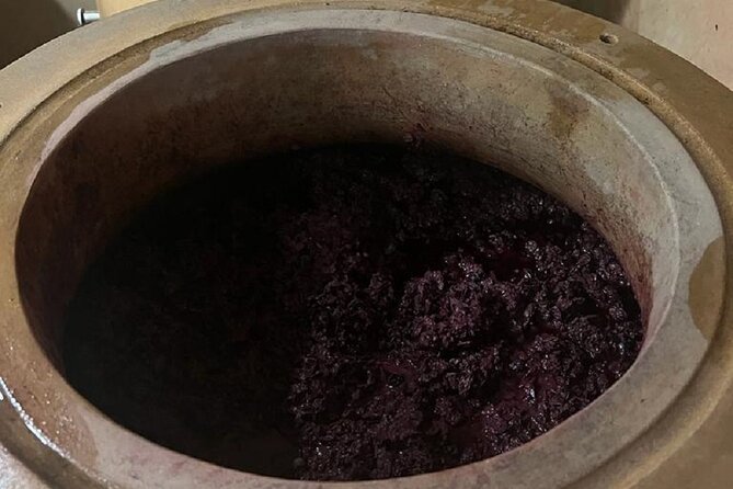 Amarone Wine Tour with 2 Wineries Lunch and Private Transfer - Who Would Love This Tour?