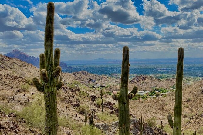 Amazing 2-Hour Guided Hiking Adventure in Phoenix, Arizona - Wildlife and Flora Interactions