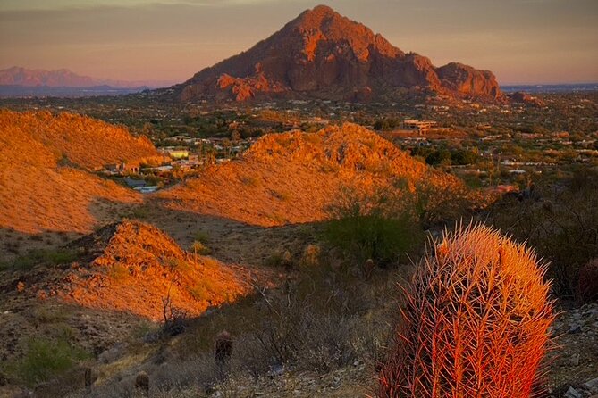 Amazing 2-Hour Guided Hiking Adventure in Phoenix, Arizona - Reviews and Feedback From Adventurers