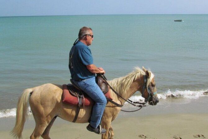 Amazing 3-Hour Horseback Riding at Puerto Plata with Pickup - Why It’s a Good Fit