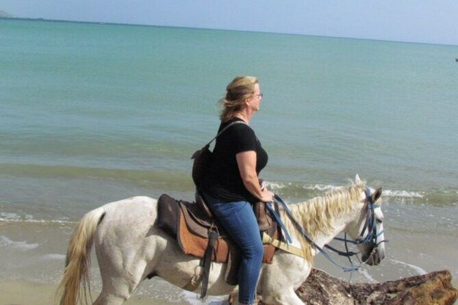 Amazing 3-Hour Horseback Riding at Puerto Plata with Pickup - FAQ