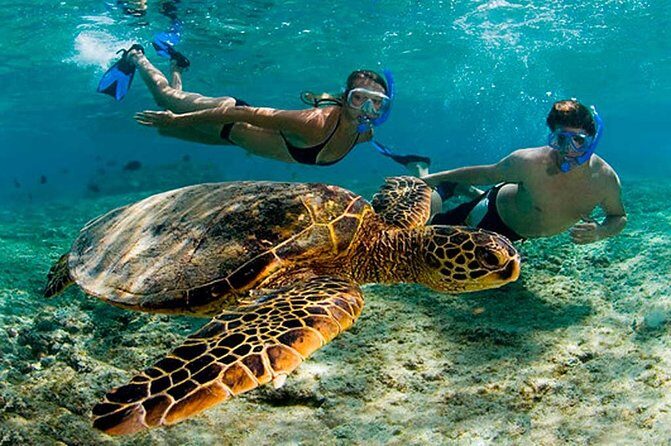Amazing Adventure in Akumal. Swim with turtles and discover Tulum Ruins. - Transportation & Group Size