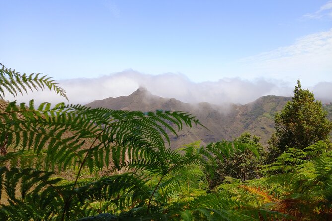 Amazing Anaga - Native Flora and Fauna of the Region